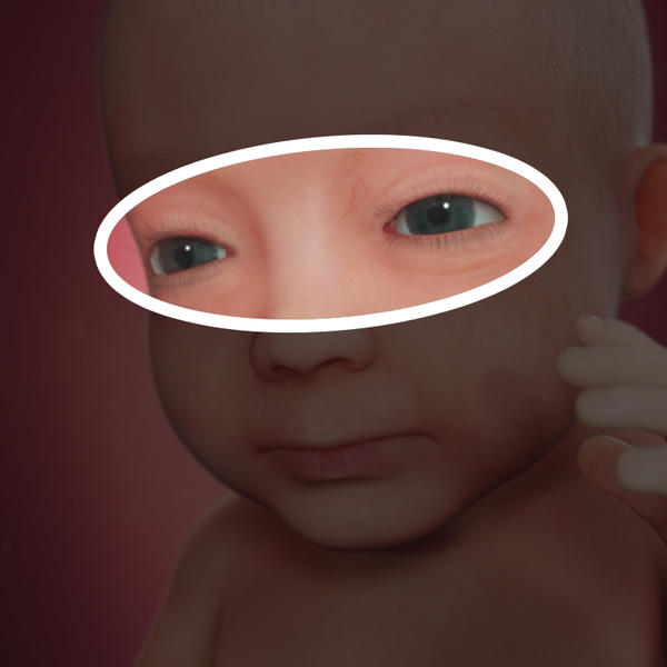 Samen Zwanger _ 28 weken zwanger - trimester 3 week 28 foto (3) - Samen ...