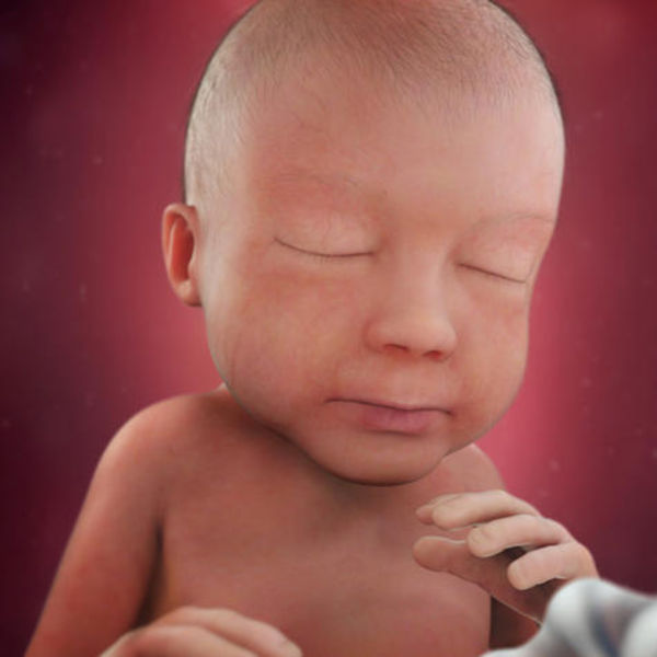 Samen Zwanger _ 28 weken zwanger - trimester 3 week 28 foto (3) - Samen ...